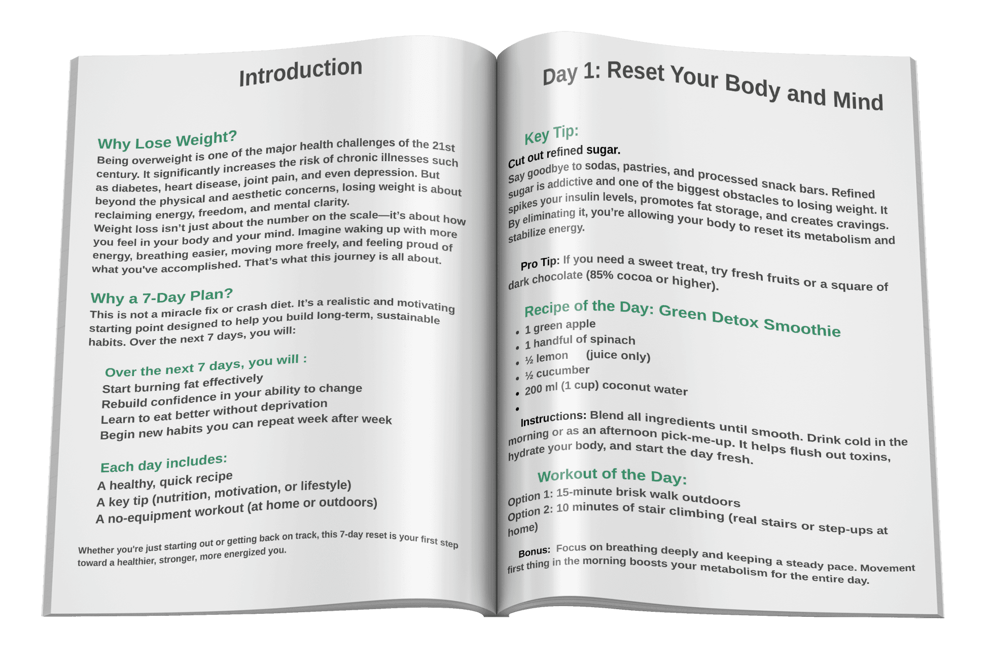 7 Day SlimDown Plan (FREE PDF) | Slim Vibes Daily